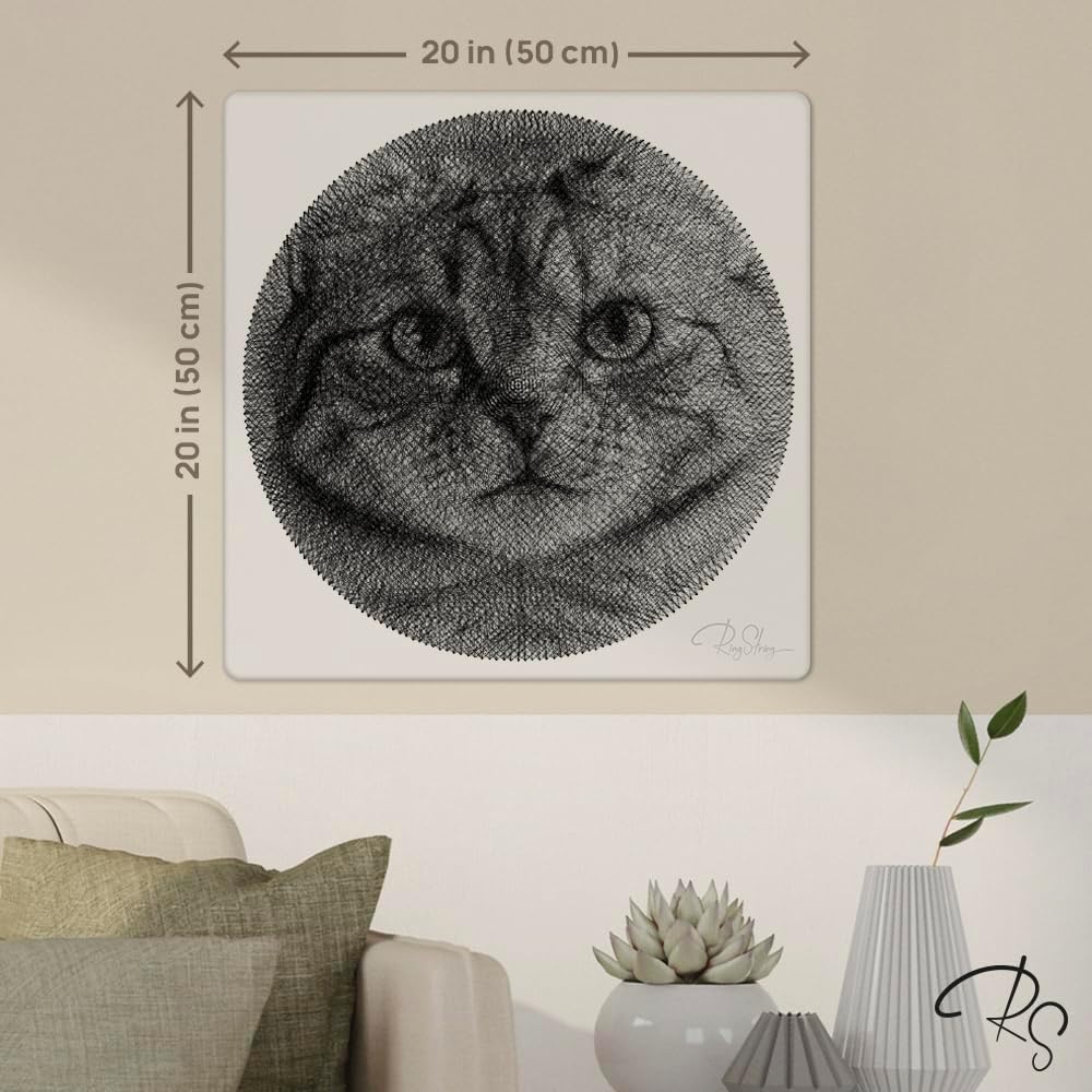 DIY String Art Kit from Photos – RingString